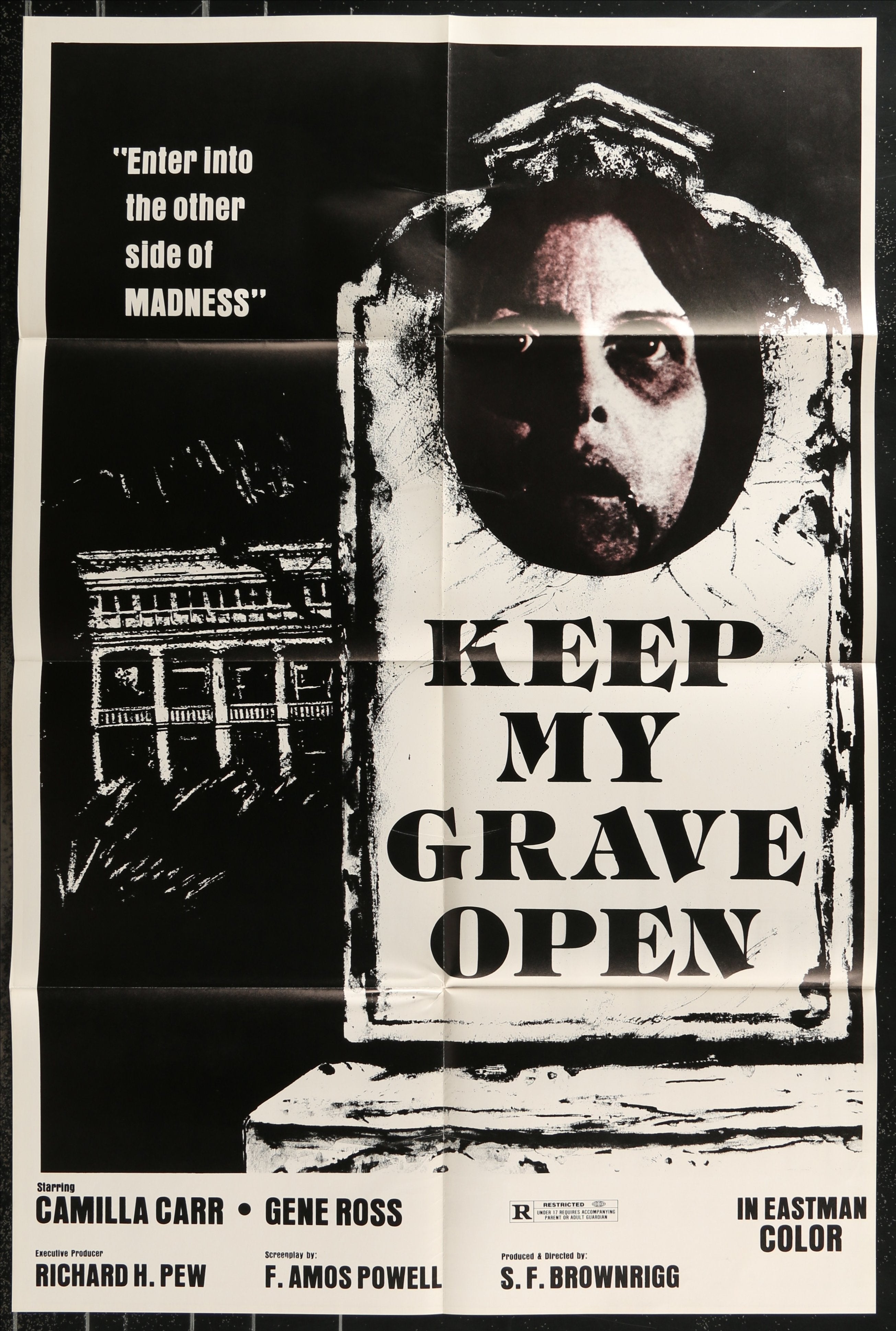 Keep My Grave Open (1980) Original US One Sheet Movie Poster ...